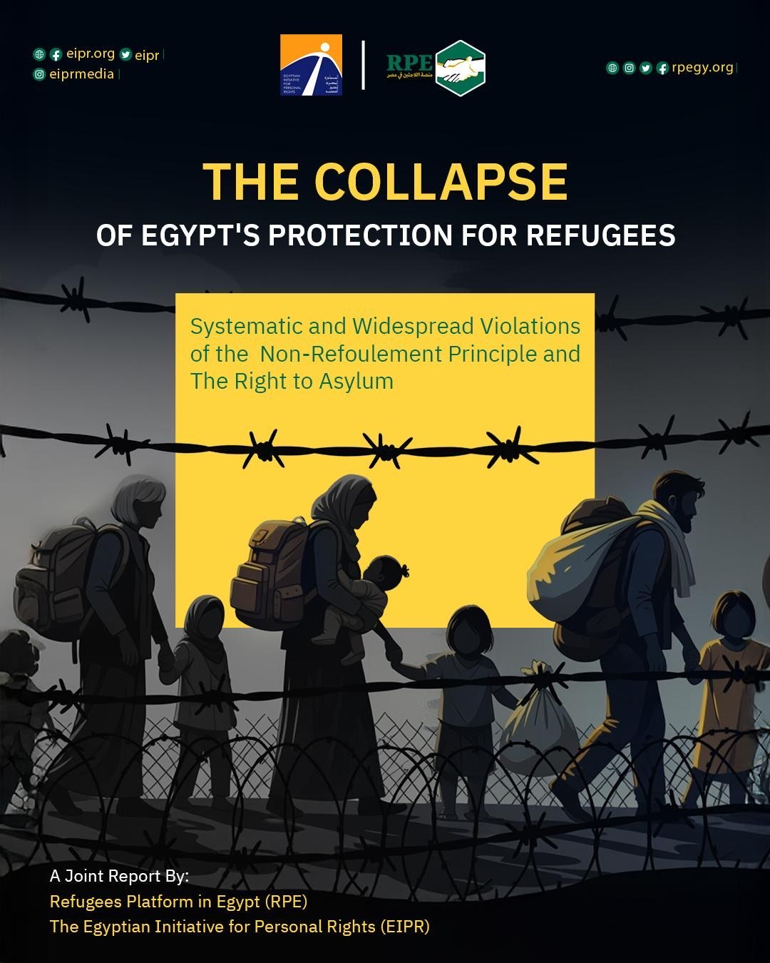 The Collapse of Egypt's Protection for Refugees Joint Report Reveals ...